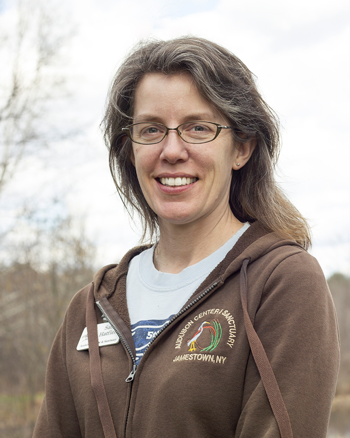 Decorating with greens | News, Sports, Jobs - Times Observer